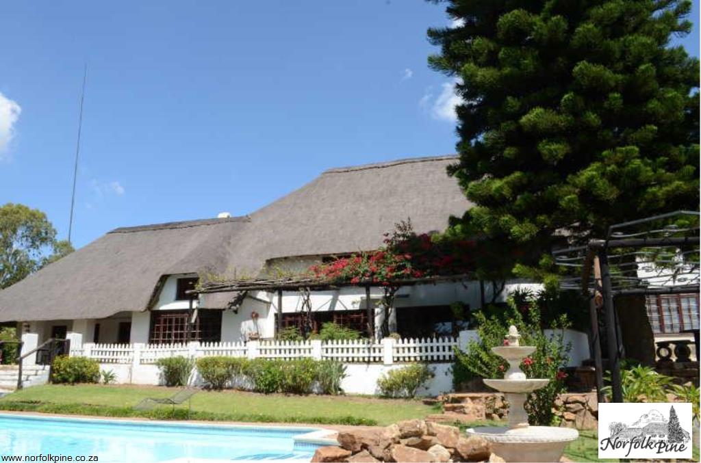 Norfolk Pine Guesthouse - Everything you need within reach.