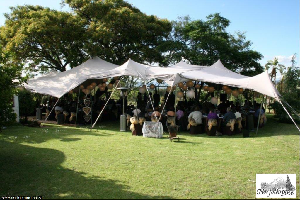 Norfolk Pine Guesthouse - Relaxing atmosphere for all conferences